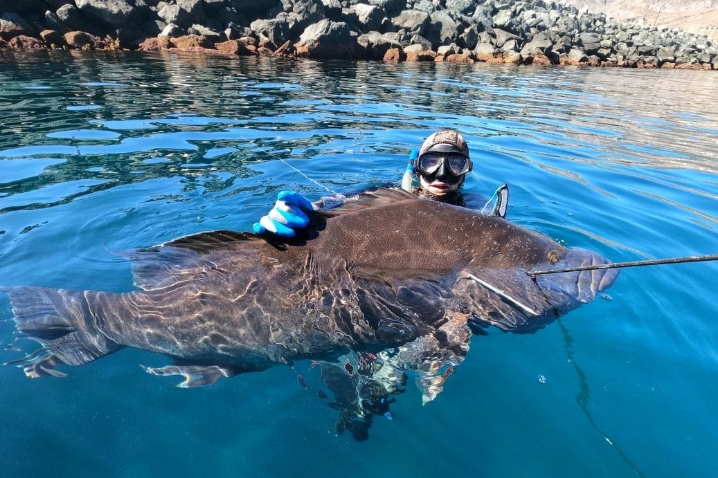 Cedros Sportfishing With Toro - Spearfishing - Fly fishing - Isla de Cedros